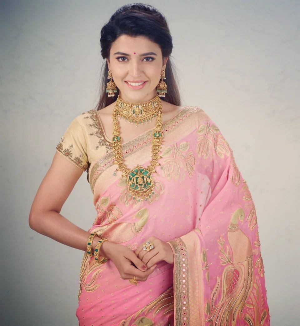 Chitra Shukla Age, Family, Husband, Net Worth, Movies, Biography ...